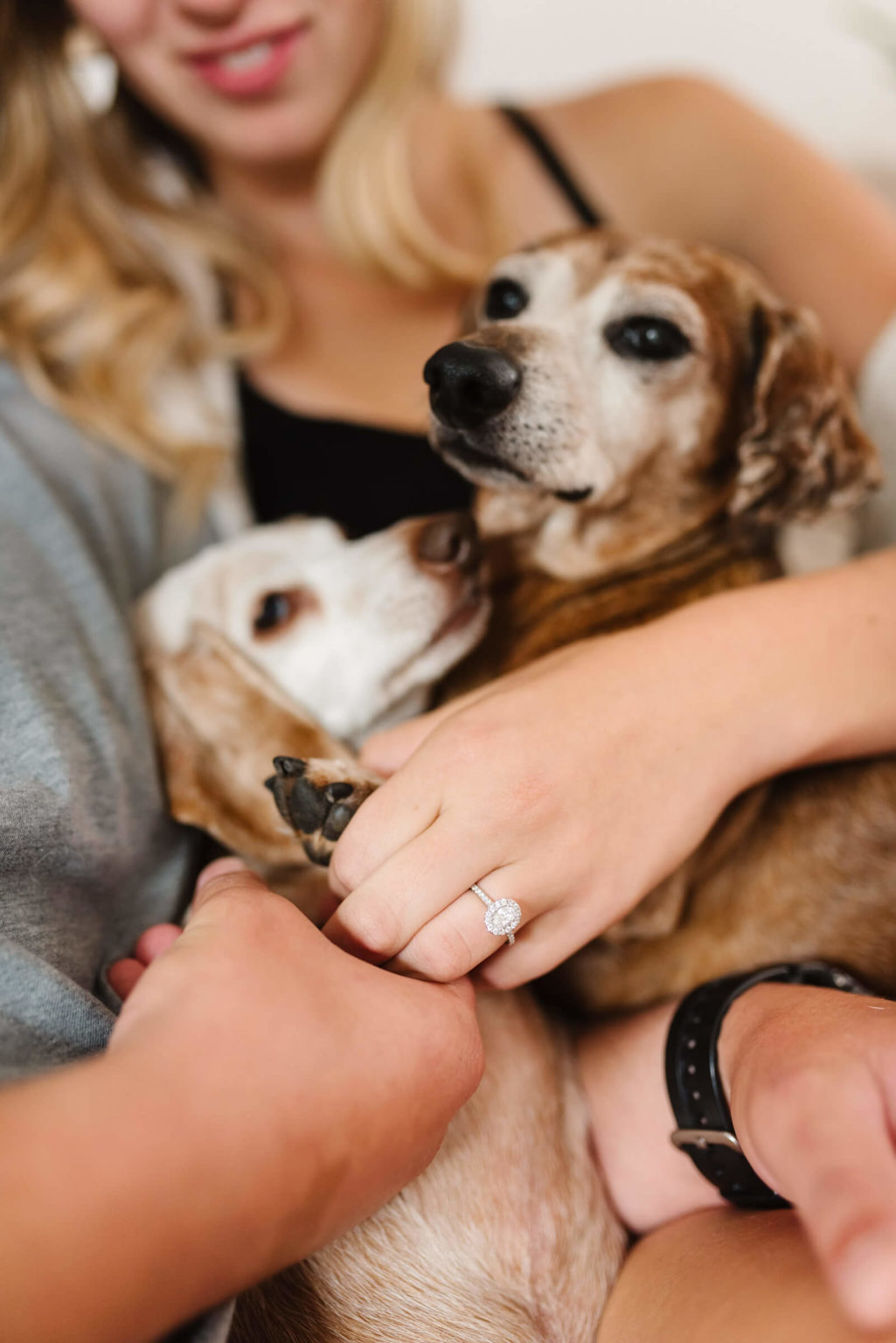 Tips for Including Your Dog in Your Engagement Photos | Bend Engagement ...