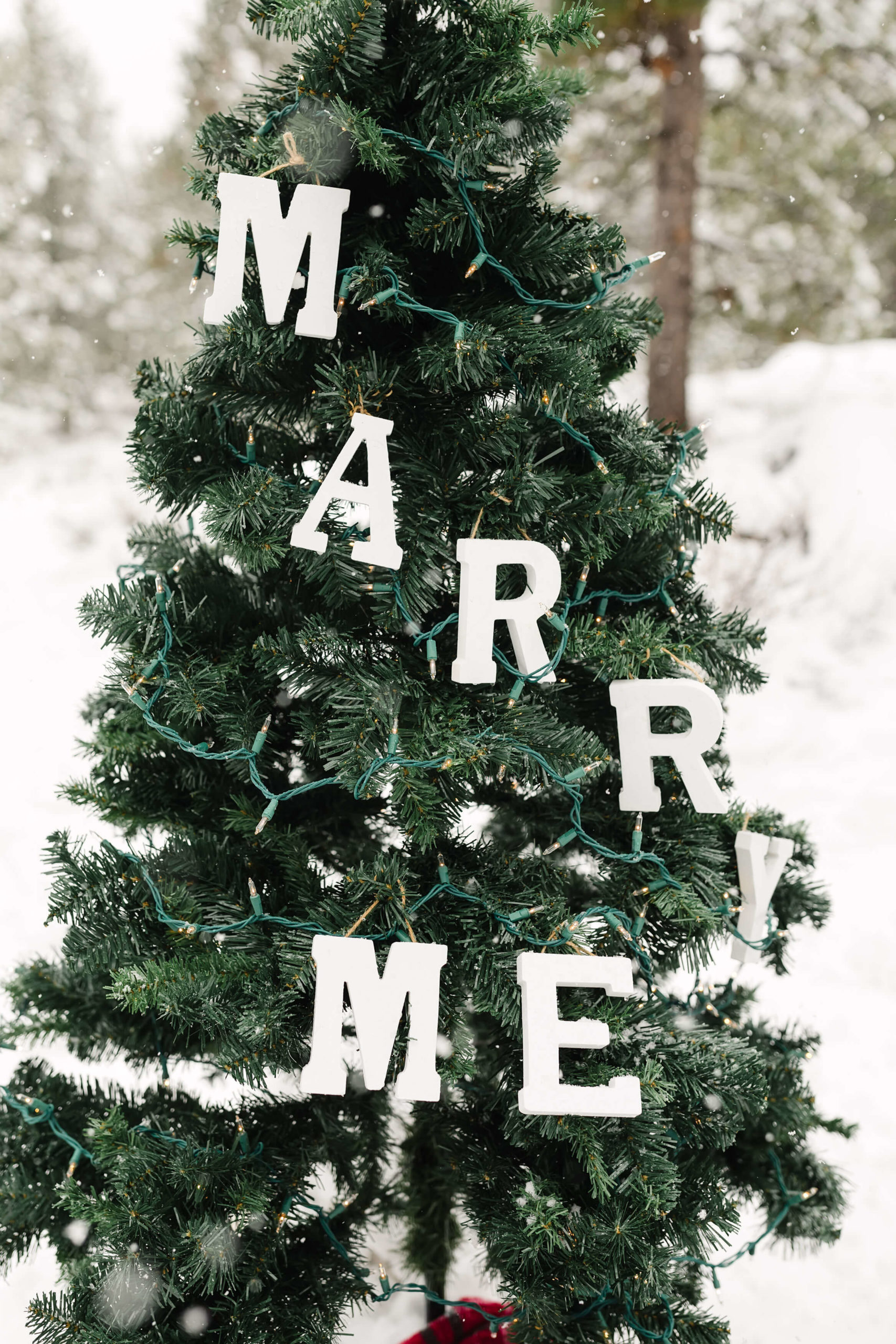 A Magical Christmas Proposal in Bend, OR | Bryndle Photo